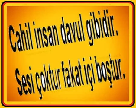 Cahil'in Bazı Karakteristikleri | TopragizBiz.com